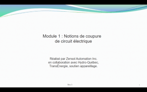 Cours en ligne - Zensol